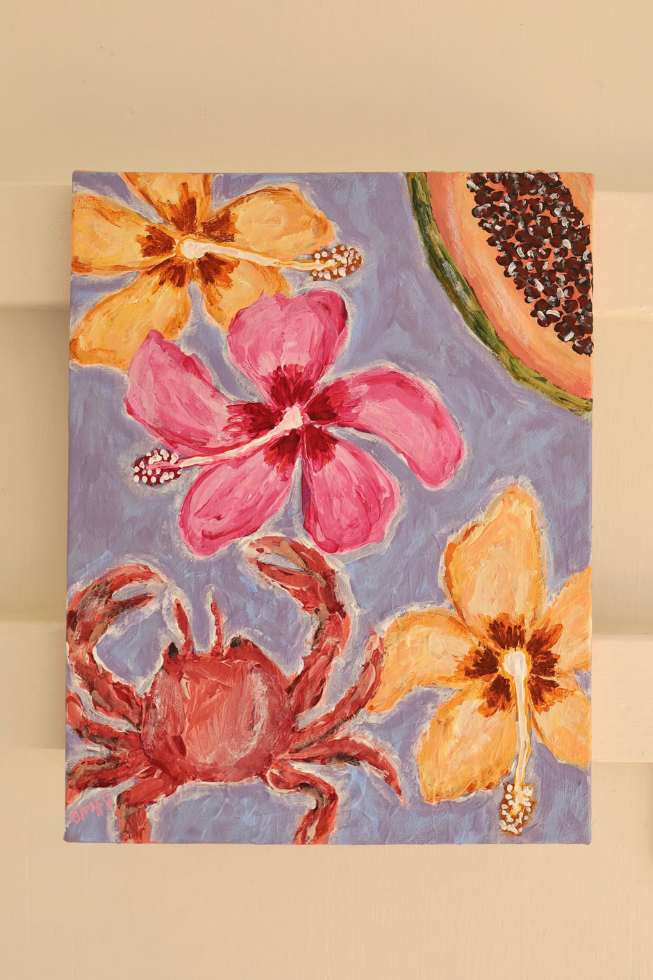 Amy Gibbs - Australian Artist & Designer