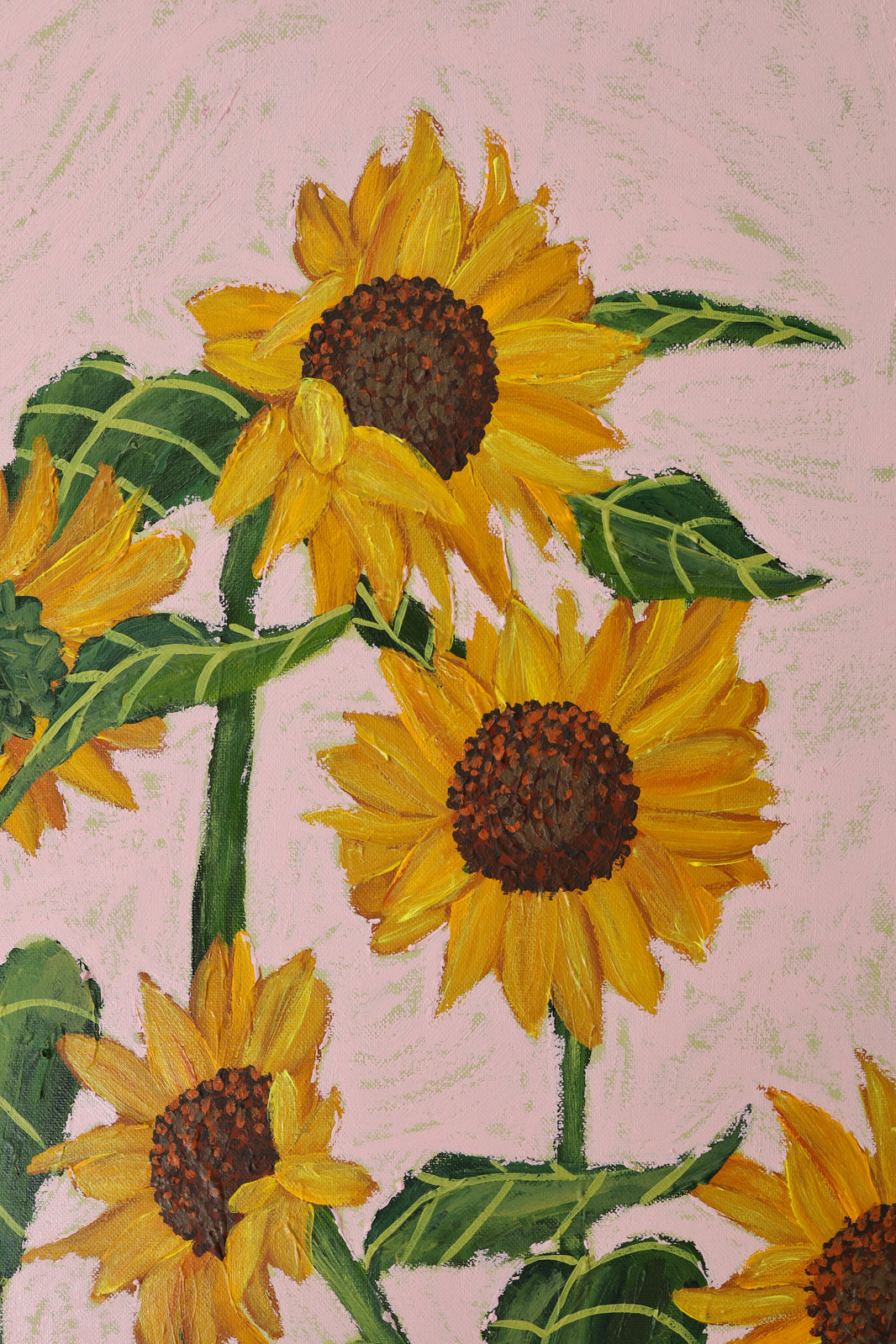 Amy Gibbs - Australian Artist & Designer