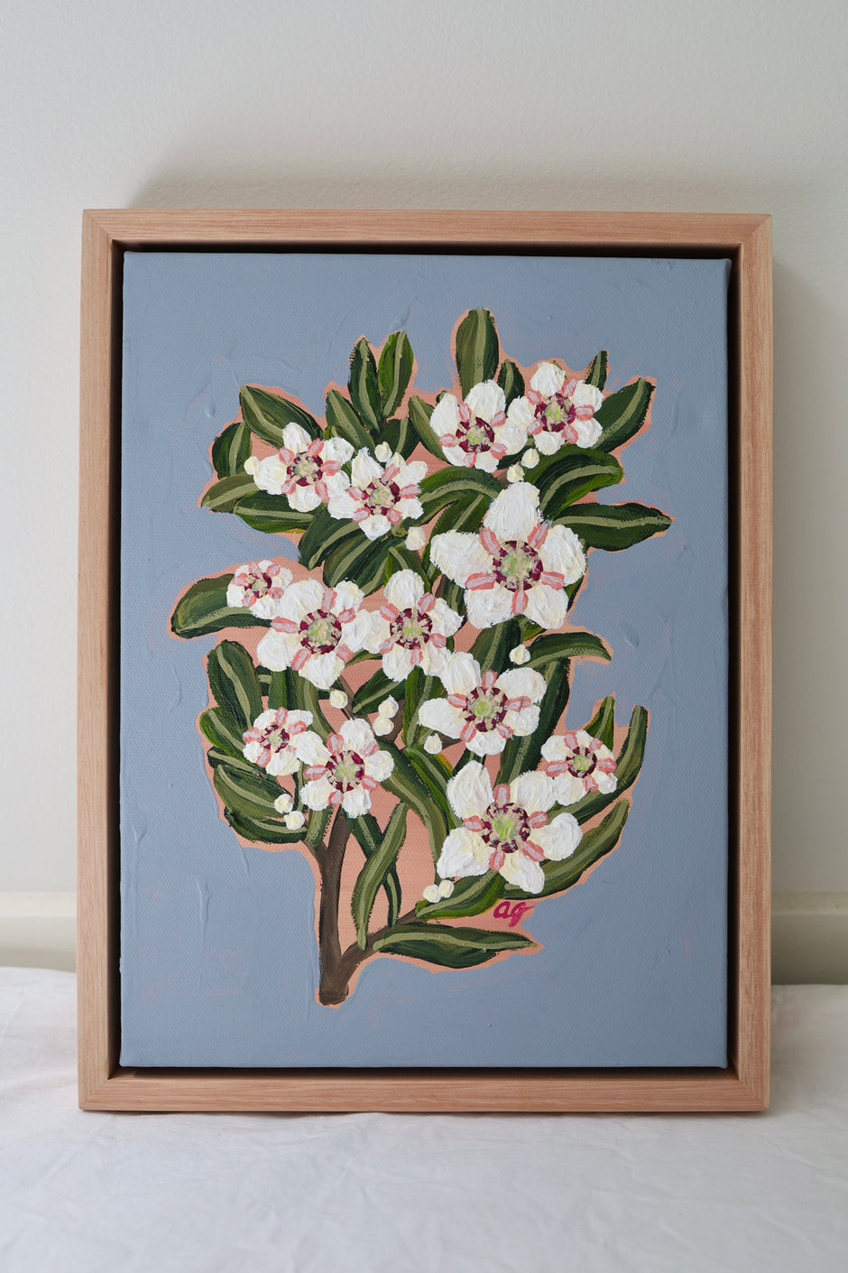 Amy Gibbs - Australian Artist & Designer