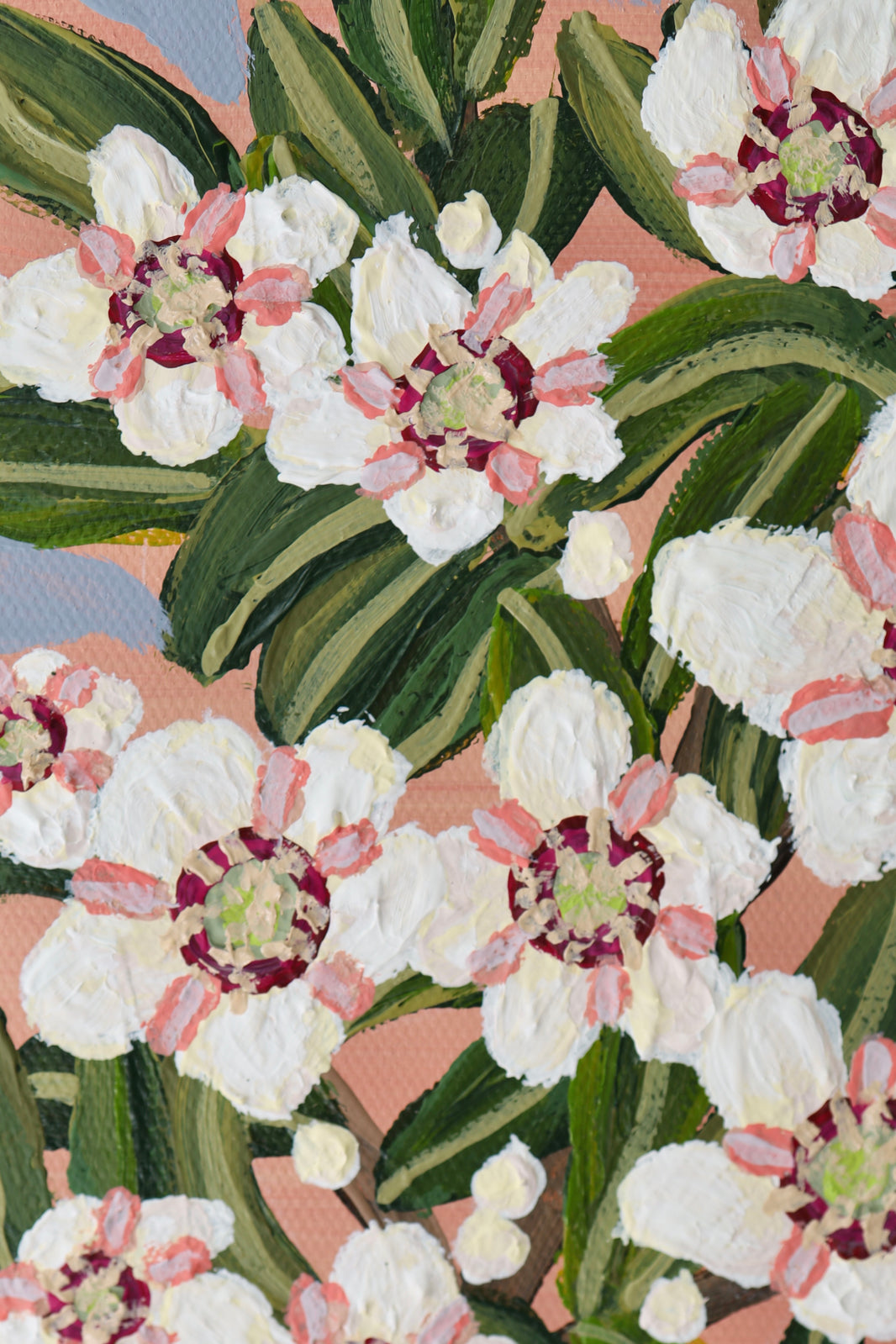 Amy Gibbs - Australian Artist & Designer